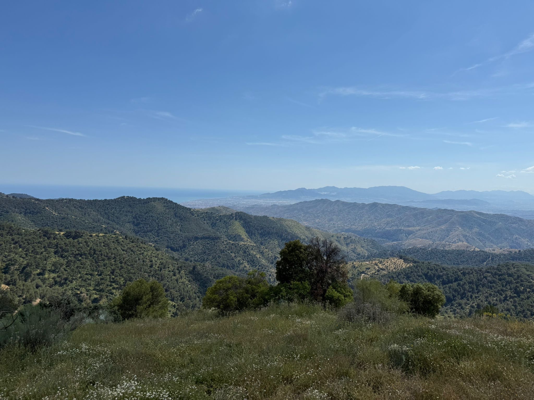 Jani’s Mount Kili 2026💫 - Charity Right